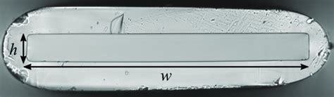 Front View Of A Rectangular Glass Capillary Having A Height H Of 96 µm