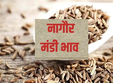नगर मड भव दसबर मग गवर जर सफ इसबगल जवर सरस तरमर
