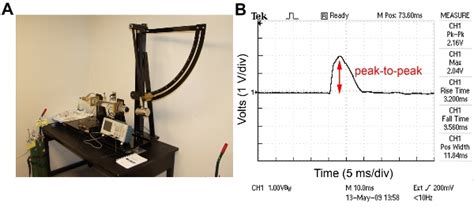 Lateral Fluid Percussion Model Of Traumatic Brain Injury In Mice