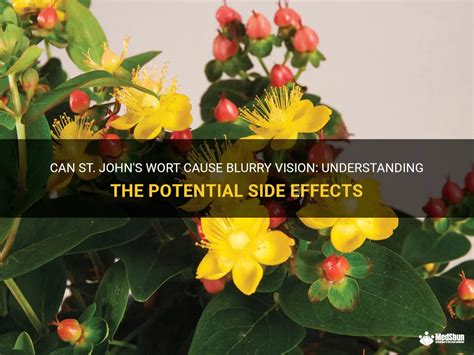 Can St Johns Wort Cause Blurry Vision Understanding The Potential