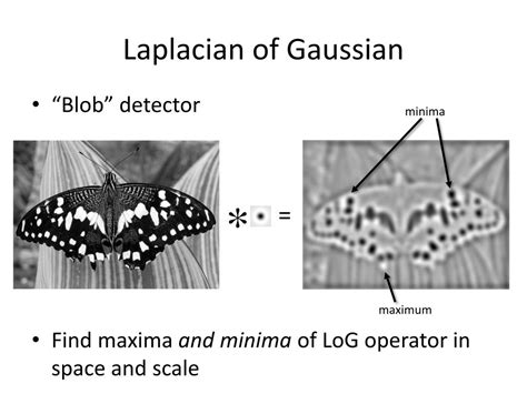Ppt Lecture Features Invariance And Blob Detection Powerpoint