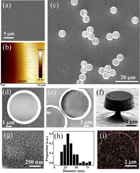 Sem Image A And Afm Image B Of Gan Epitaxial Wafer Top View Sem Download Scientific