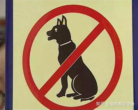 这5种狗在城市“被禁养”，再养就违法了，你中招了没？ 知乎