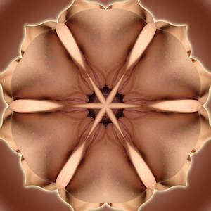 0622 Abstract Art Geometric Female Form Photograph By Chris Maher Fine Art America