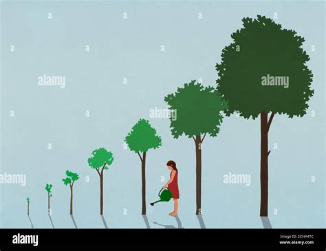 Girl Watering Sequence Of Growing Trees Stock Photo Alamy