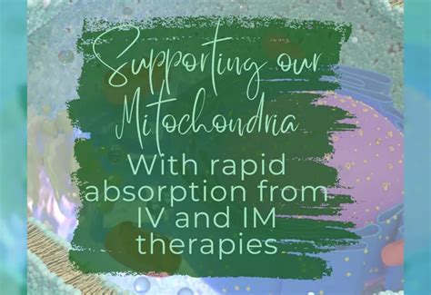 Mitochondrial Support Iv And Im Cellular Energy Restoration