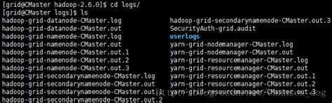 全hadoop2 x版本安装套路（以hadoop2 6 0为例） hadoop 2 6 0 tar gz csdn博客