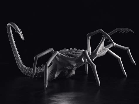 Alien Queen Facehugger Sculpture Printable 3d Model 3d Model 3d