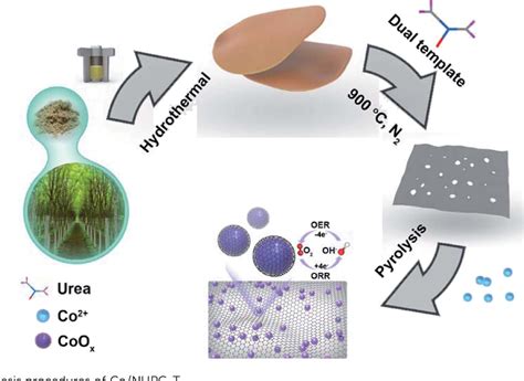 Figure 1 From Co N Doped Hierarchical Porous Carbon As An Efficient Oxygen Electrocatalyst For