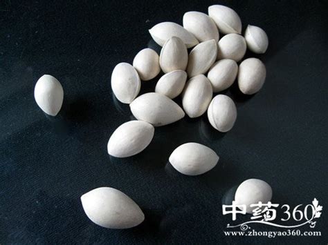 白果的营养价值及食疗方法 食材大全 中药360