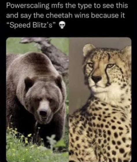 Ijichis Colosseum Powerscaling Megathread R Jujutsushi