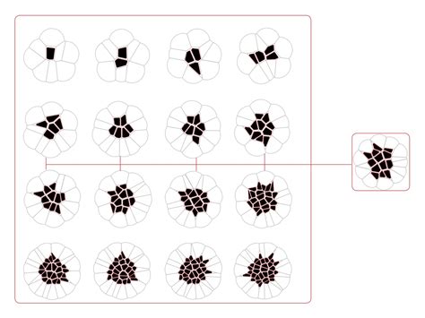 Hybridbiostructures Morphogenetic Design Development