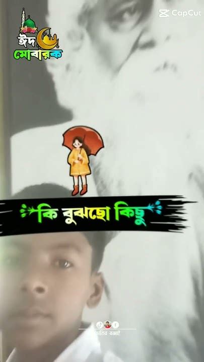 সকালে গরু। দুপুরে গরু Youtube