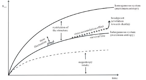 The Line Of Maximum Of Entropy Versus Time Is Shown For A Homogeneous
