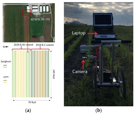 A Convolutional Neural Network Based Method For Corn Stand Counting In