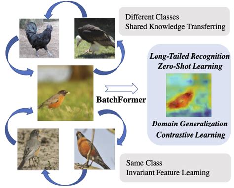 Batchformer Learning To Explore Sample Relationships For Robust