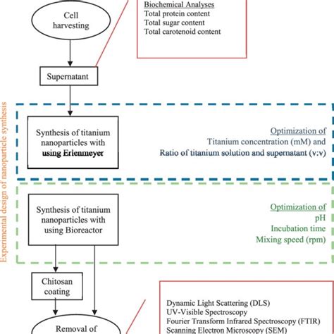 Schematic Diagram Of General Nanoparticle Biosynthesis From