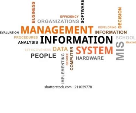 Mis Implementation Service At Best Price In New Delhi By Mayur Batra