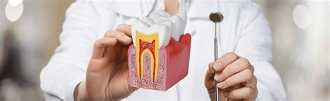 Avoid Root Canal Surgery With These Expert Dental Tips
