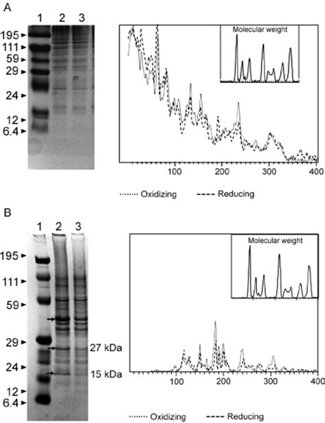 Evaluation Of The Interference Of The Redox Potential In The Ex Download Scientific Diagram