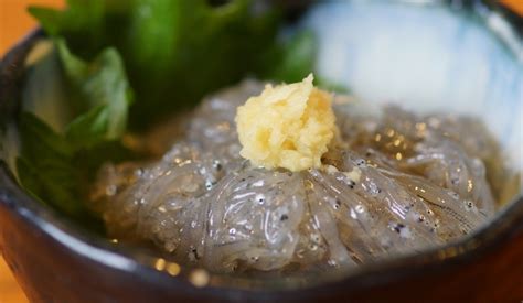 來鎌倉必吃！湘南名物「生吻仔魚」超美味，丼飯、熱吐司絕不能錯過！ 樂吃購！日本 東京版