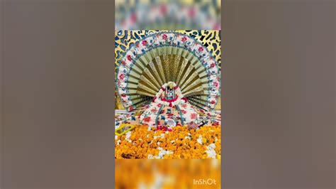 जयकारा माता भद्रकाली मैया जी का बोल सच्चे दरबार की जय Youtube