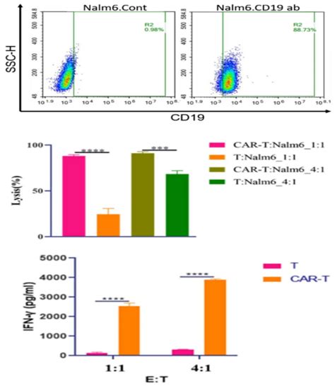 Car T 임상 연구 개발 전에 유세포 분석flow Cytometry의 응용 Communitybulletin