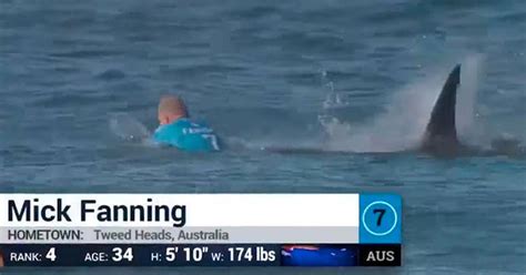 Champion Surfer Miraculously Survives Shark Attack Mid Competition Video