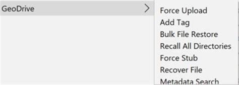 Restore Download Tests Dell Ecs Geodrive Best Practices Dell
