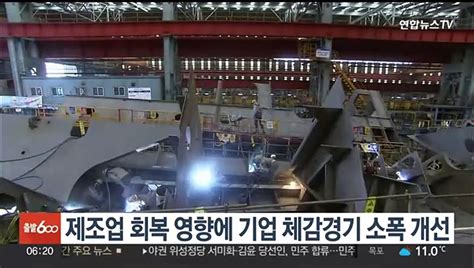 제조업 회복 영향에 기업 체감경기 소폭 개선 동영상 Dailymotion