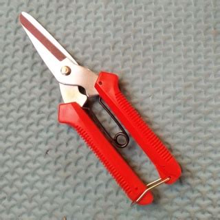 Jual GUNTING SENG DAN DAHAN SERBAGUNA CAMEL GUNTING DAHAN LURUS DAN BENGKOK Korea Shopee Indonesia