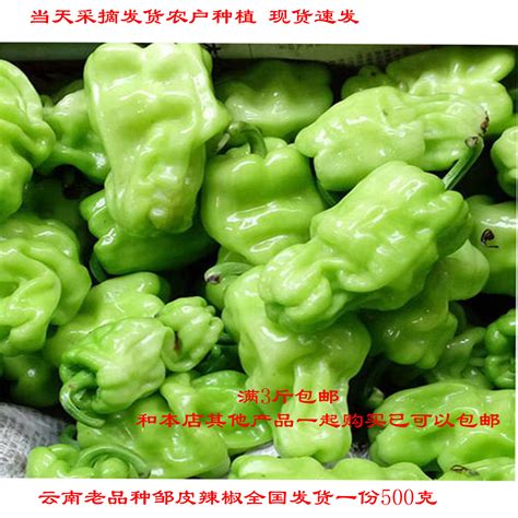 邹皮椒 皱皮椒辣不辣 大山谷图库