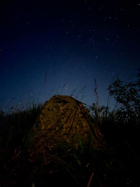 캠핑 밤 자연 Pixabay의 무료 사진