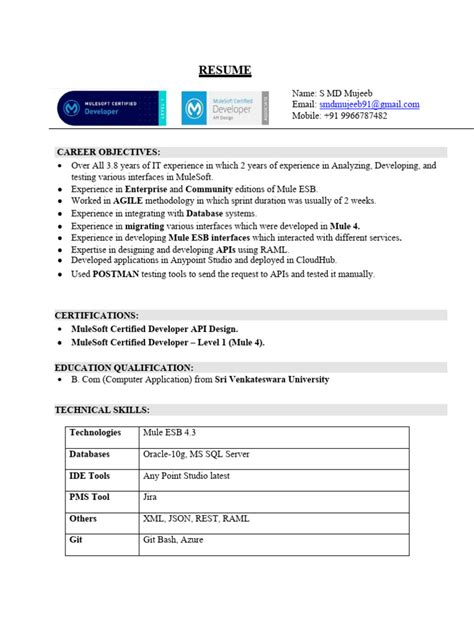 Mujeeb Mulesoft Resume Pdf Computer Network Server Computing