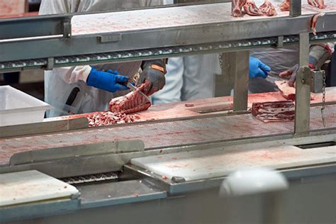 Lean Meat Yield Percentage Integrity Systems