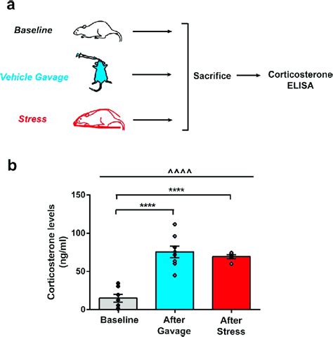 Impact Of Gavage Dosing Procedure And Gastric Content On 44 Off