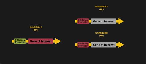 Living Logic Biological Circuits For The Electrically Minded Hackaday