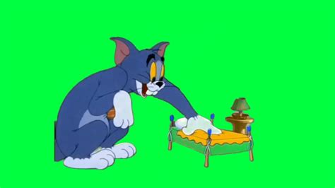 Green Screen Cartoon Tom And Jerry Tom And Jerry Green Screen Green