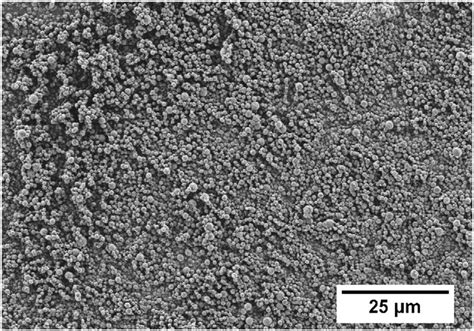 Sem Analysis Of Art Loaded Plga Microparticles Prepared By Spray Dried
