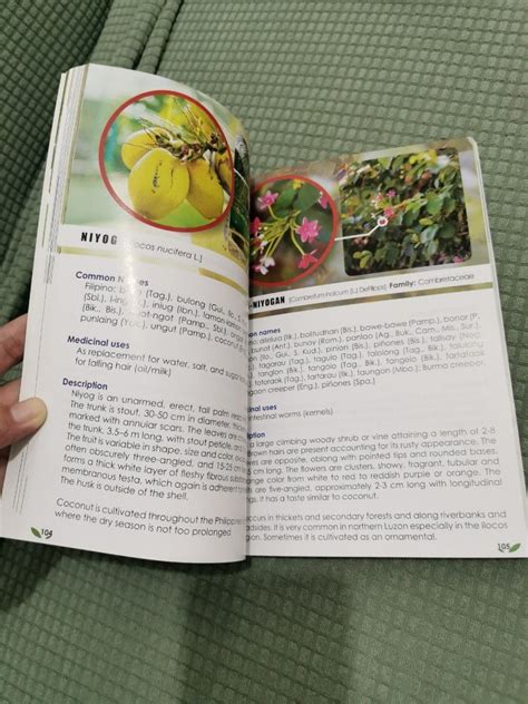 Medicinal Plants Book From Up Hobbies And Toys Books And Magazines