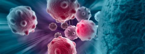 Avances De La Inmunoterapia Contra El Cáncer Revista Kena México