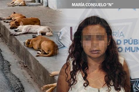 Detienen De Nuevo A La Mataperros De Bosques Se Escondía En La Popular