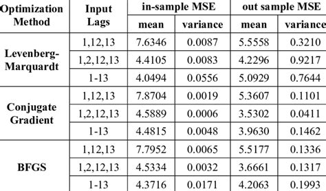 summary of cfnn processing with gradient based optimization for