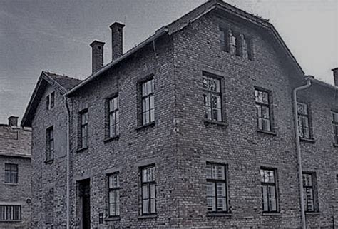 Sex During The Holocaust History Of Sorts