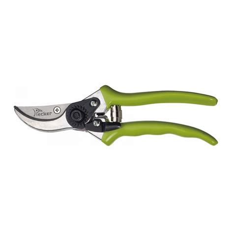 What Is The Best Pruning Shears For Pruning Euonymus Blog
