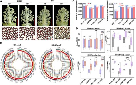 Histone H3 Lysine 27 Trimethylation Suppresses Jasmonate Biosynthesis And Signaling To Affect