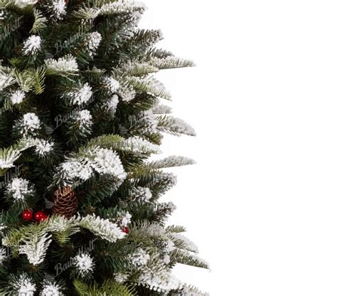 Weihnachtsbaum Im Topf 3D Tanne Mit Kunstschnee 60cm Baumwelt