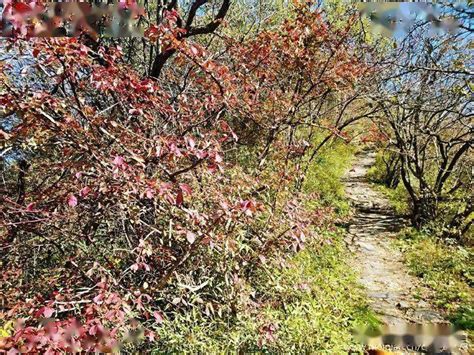 游记走秦楚古道 登终南之巅 秦岭