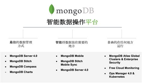 MongoDB 全球领先的现代通用数据库 MongoDB中文社区