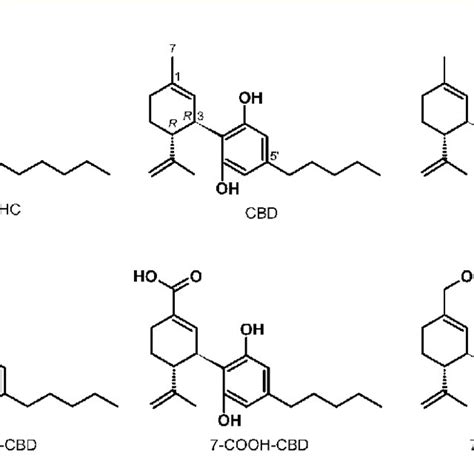 Structures Of Phytocannabinoids A And Some Of Their Main Metabolites